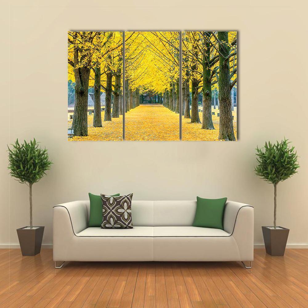 Row Of Yellow Ginkgo Tree In Nami Island Canvas Wall Art - Tiaracle