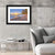 Tamarisk Tree Near Pebble Beach Canvas Wall Art - Tiaracle